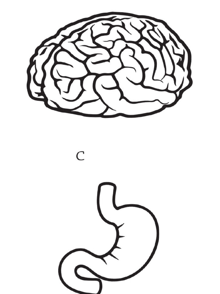Guía de Ciencias Partes Del Cuerpo | PDF
