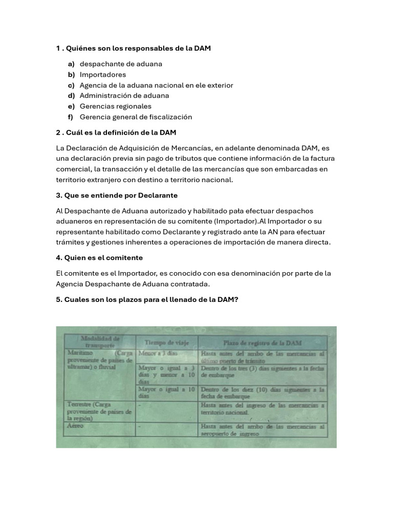 Dam | PDF | aduana | Logística