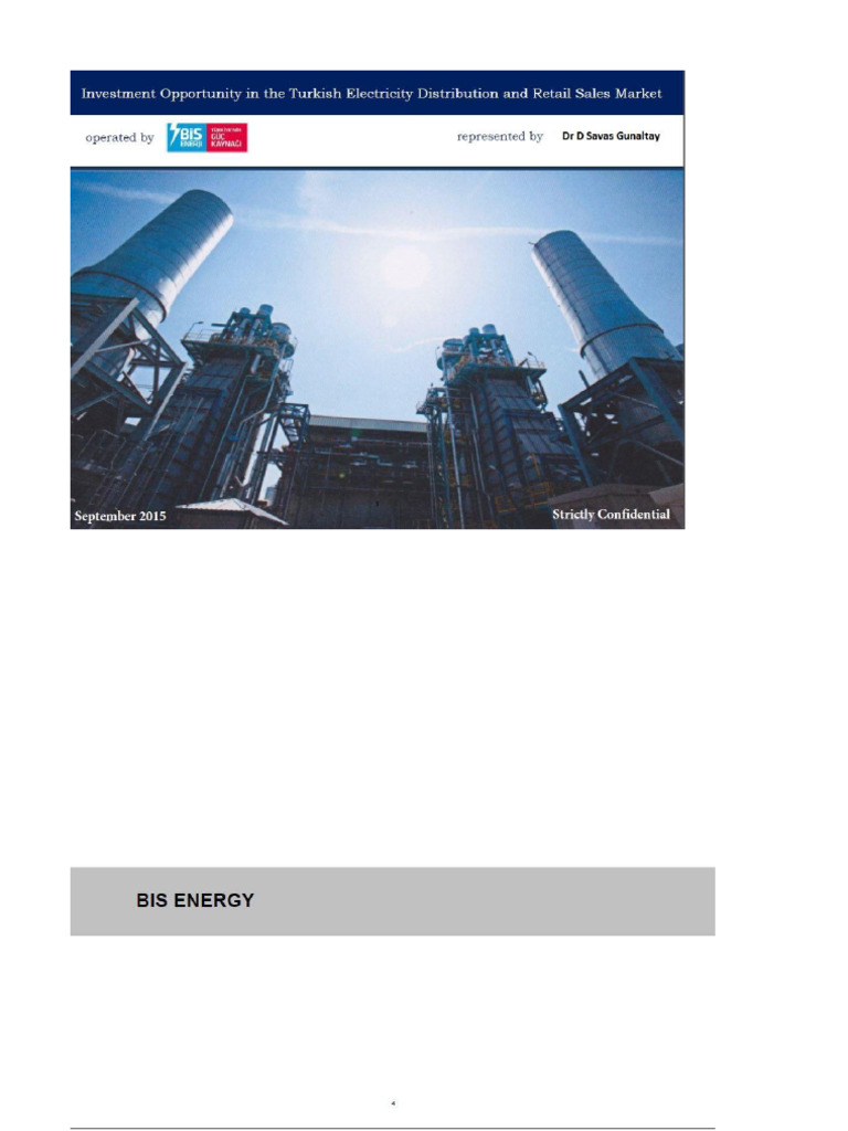 Bis Energy | PDF