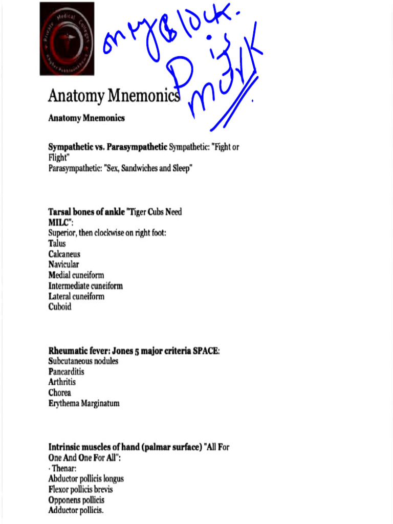 Anatomy Mnemonics. Haseeb | PDF