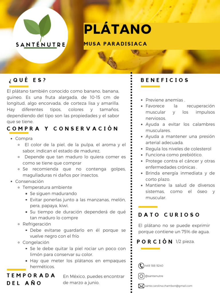 Ficha Técnica Plátanos | PDF | Plátano | Músculo