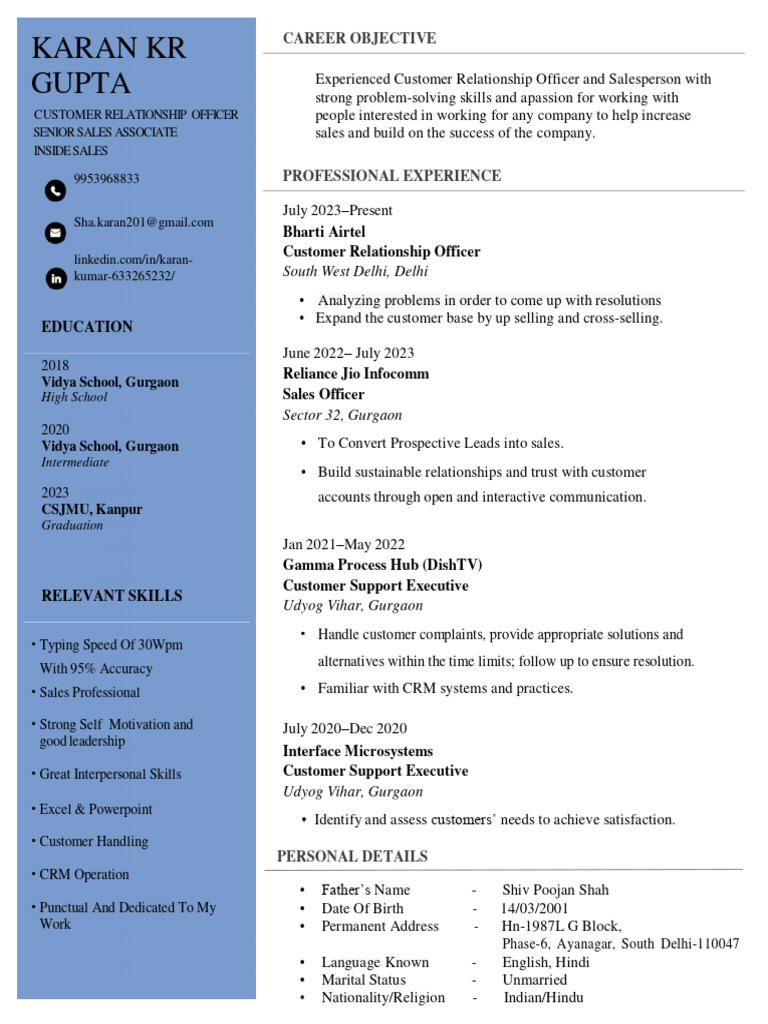 Karan Resume 2024 | PDF | Sales | Social Psychology