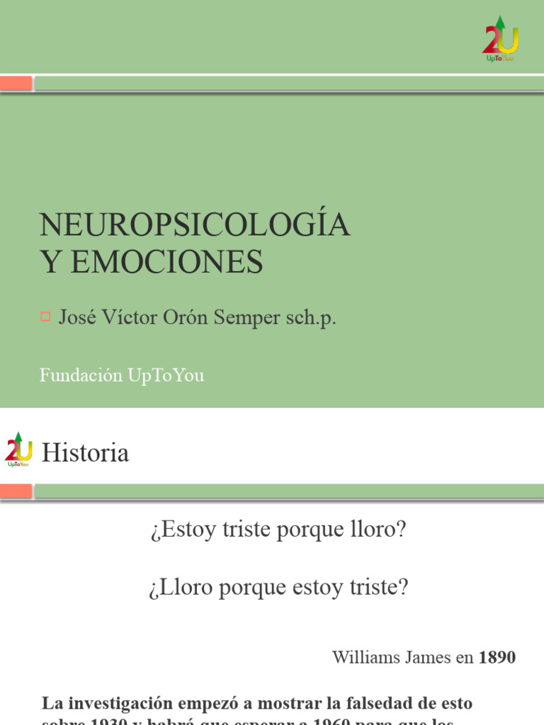 Neuropsicología Y Emociones Pdf Las Emociones Cerebro