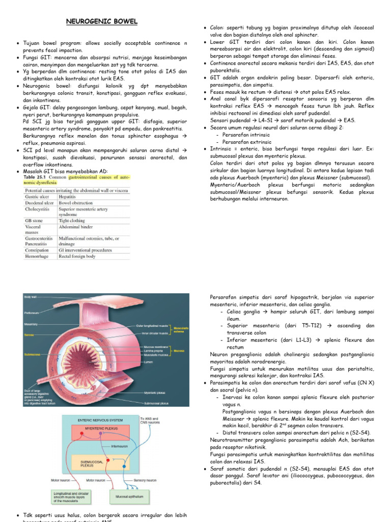 Neurogenic Bowel | PDF