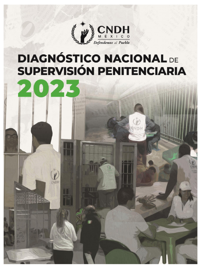 Diagnóstico Nacional de Supervisión Penitenciaria. DNSP_2023_08Abr24 ...