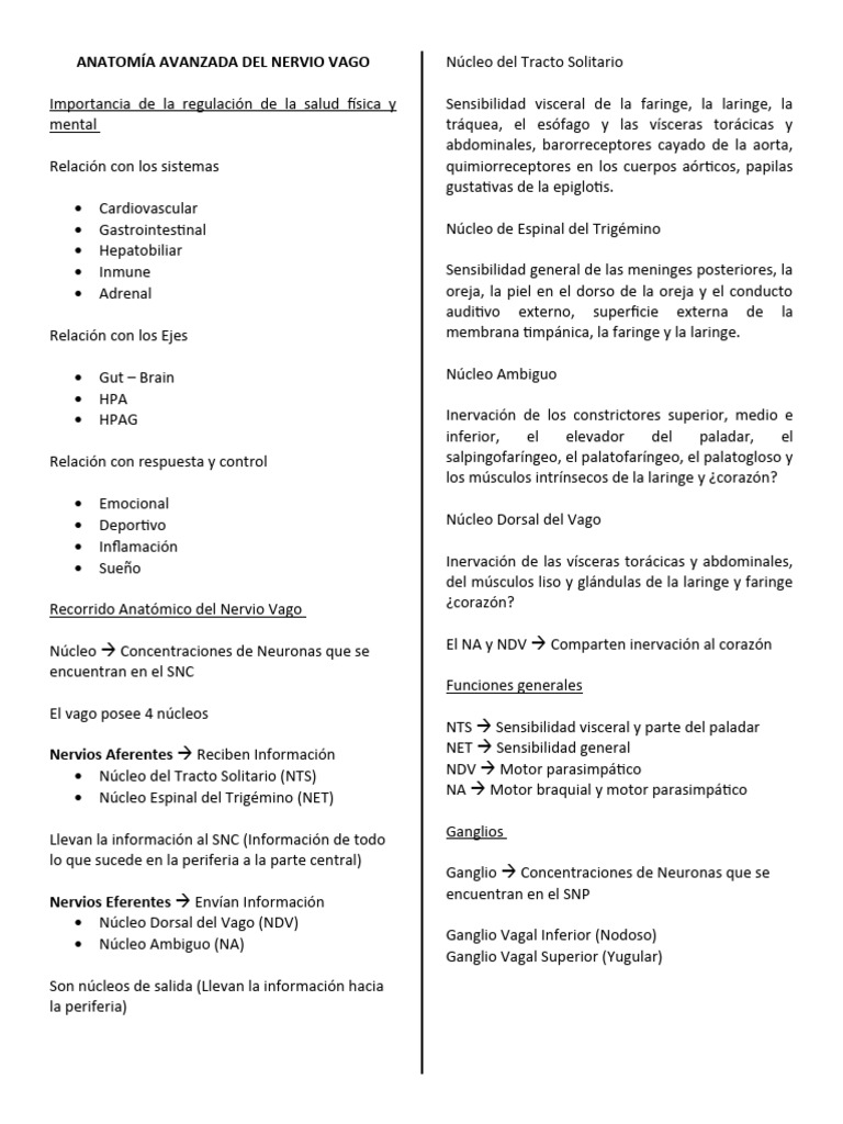 Anatomía del Nervio Vago y su Función | PDF | Nervio vago | Abdomen