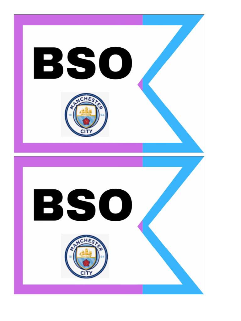 Bso | PDF