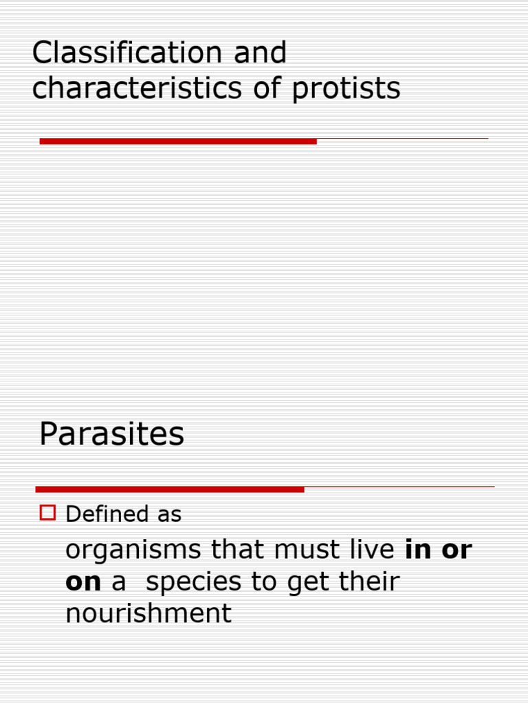 Classification of Protists | PDF | Protozoa | Organisms