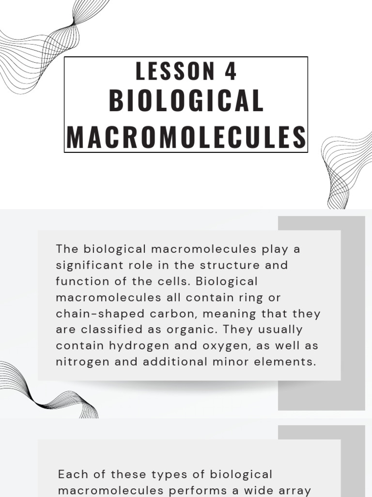 Lesson 4 Biologicalmolecules | PDF | Carbohydrates | Nucleic Acids