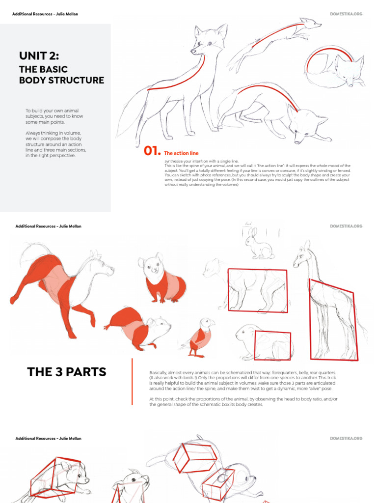 U2 - 01 (Basic Body Structure) | PDF