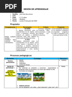 Sesion-Como Nacen Los Bebes | PDF | Aprendizaje | Cognición