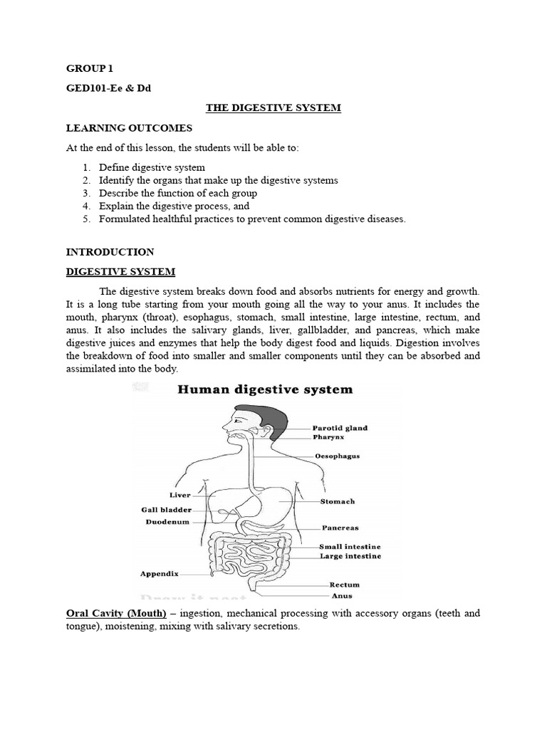Understanding the Digestive System | PDF | Human Digestive System ...