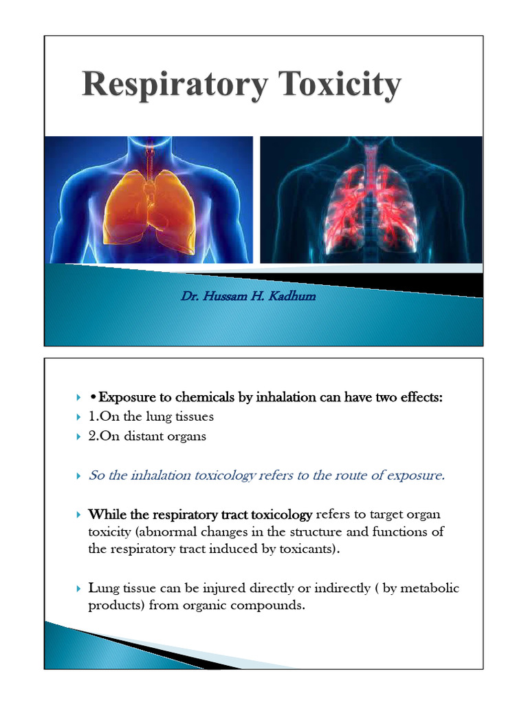 Respiratory Toxicity | PDF | Lung | Respiratory Tract