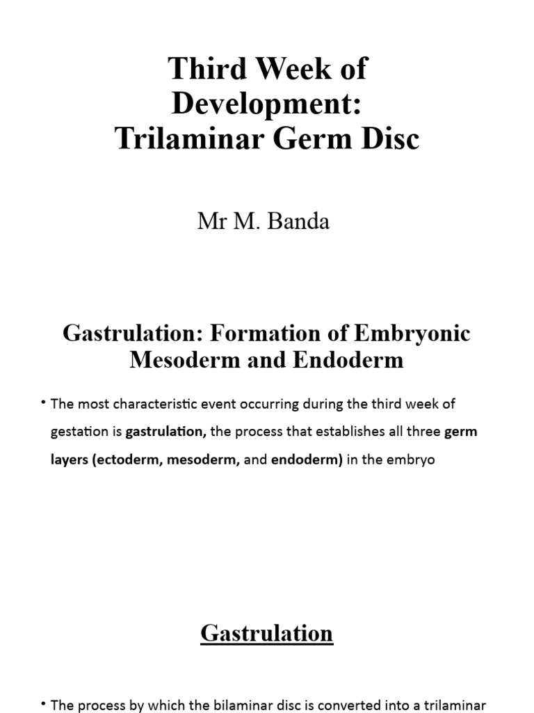 Embryology: Trilaminar Germ Disc | PDF | Anatomy | Morphology (Biology)