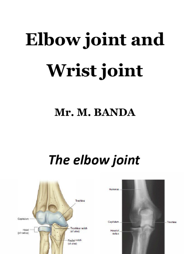 Elbow and Wrist Joints | PDF | Elbow | Anatomical Terms Of Motion