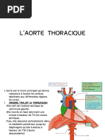 Anatomie de l'Aorte et ses Branches | PDF | Aorte | Thorax