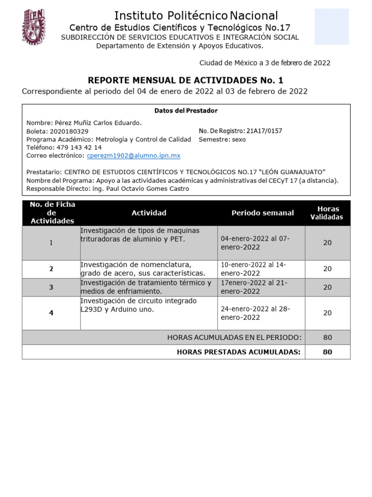 Reporte Mensual 1 | PDF
