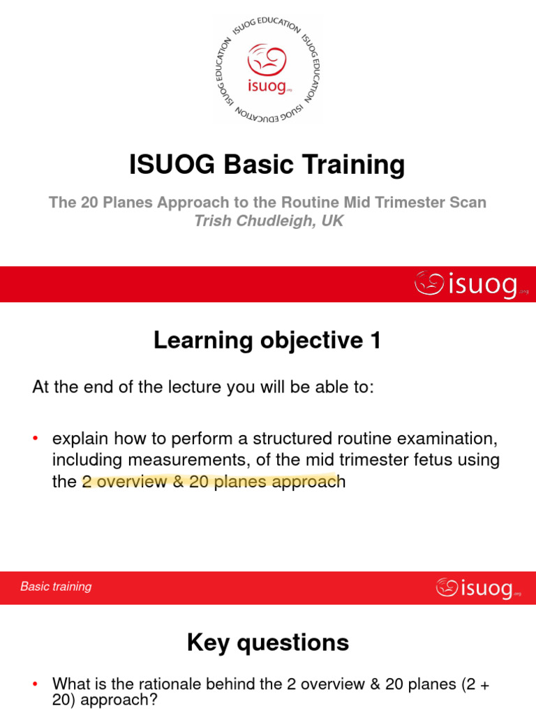 ISUOG Basic Training: The 20 Planes Approach To The Routine Mid Trimester Scan | PDF | Heart ...