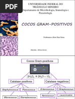 Fleimao | PDF | Medicina Clínica | Especialidades médicas