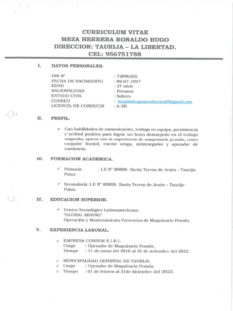 CV Ronaldo Meza | PDF