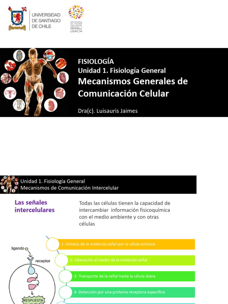 Tema 2 - Comunicación Intercelular | PDF | Receptor (Bioquímica) | Transducción de señales