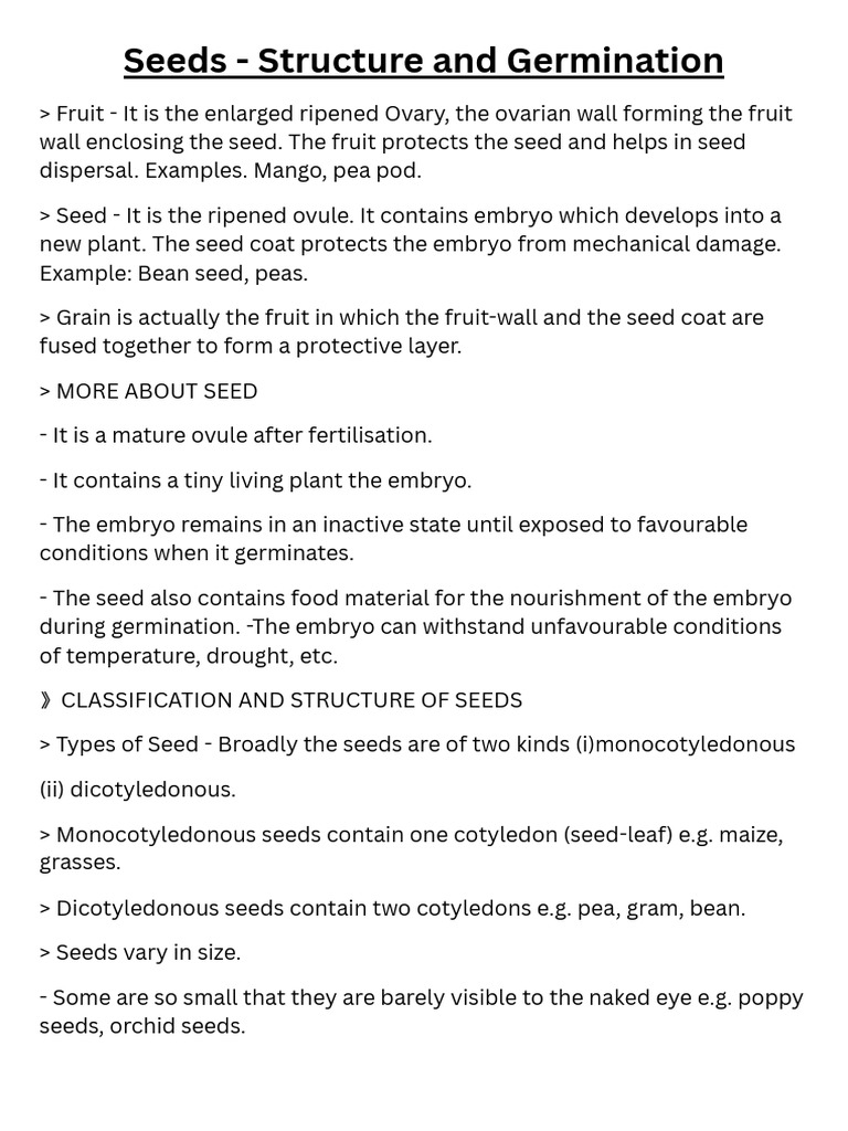 Seed Structure and Germination Overview | PDF | Seed | Germination