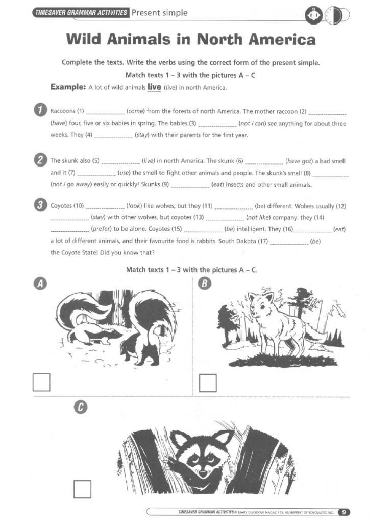 Pres Simple Pics A1 | PDF