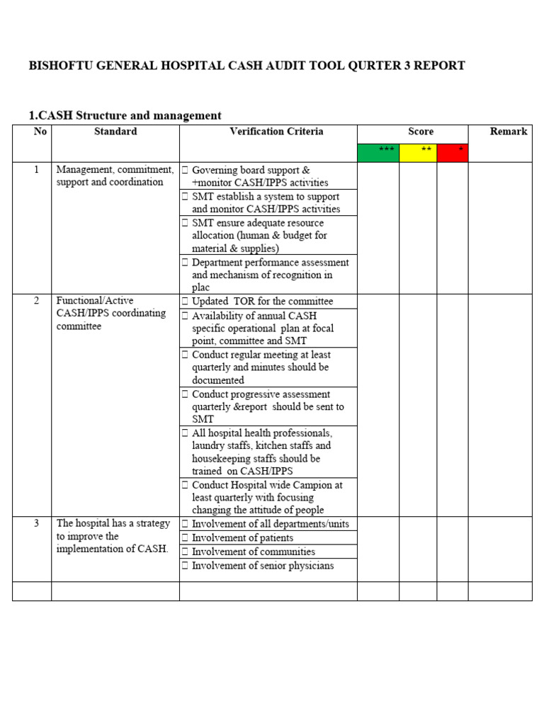 CASH Audit Tools Standared Form | PDF | Incineration | Hygiene