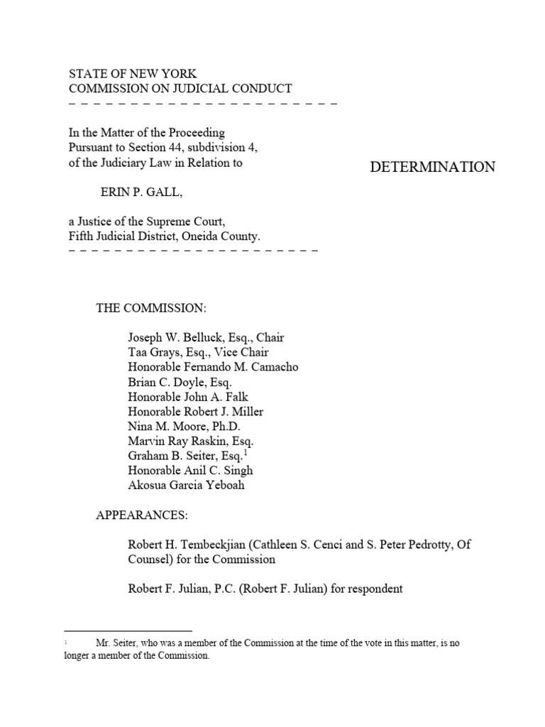 Gall Erin P 2024-07-17 DET | PDF | Restraining Order | Police