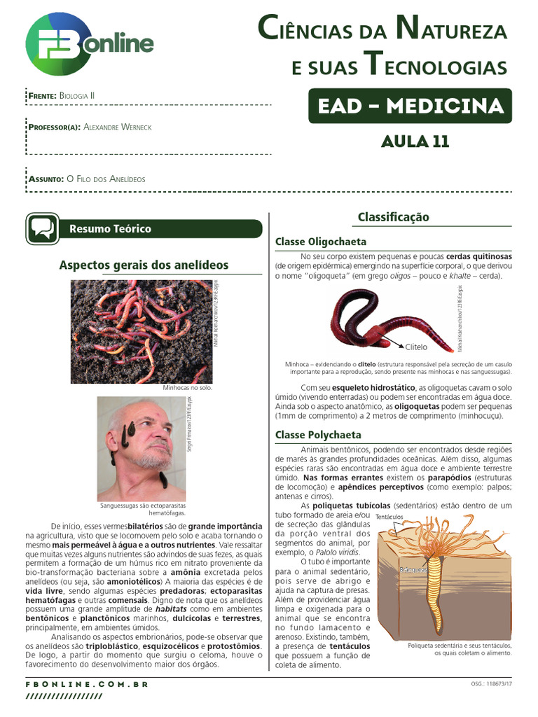 Filo dos Anelídeos: Características e Classificação | PDF