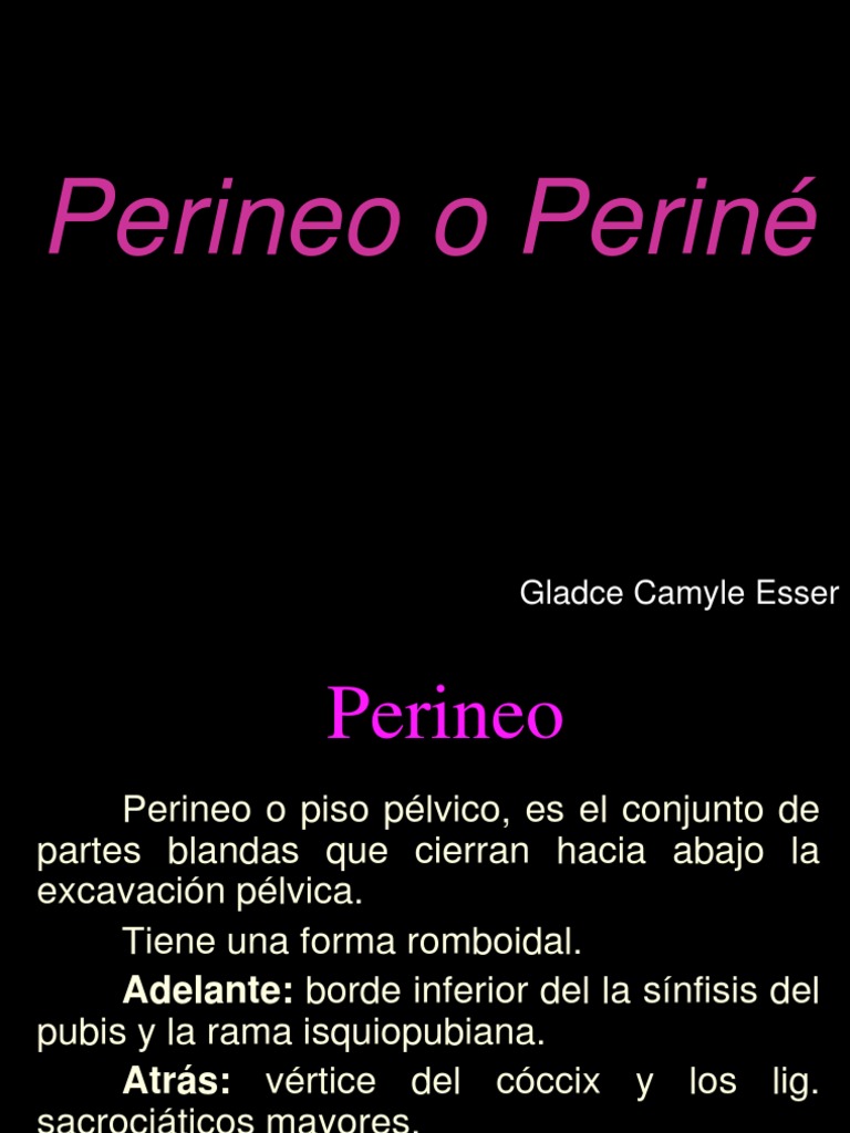 Perineo o Periné: anatomía y funciones | PDF | Pelvis | Anatomía humana