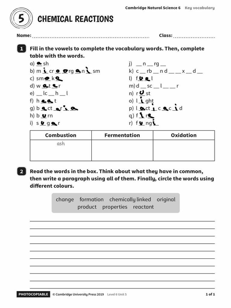 Unit_5_Science_worksheets_6º 2 | PDF