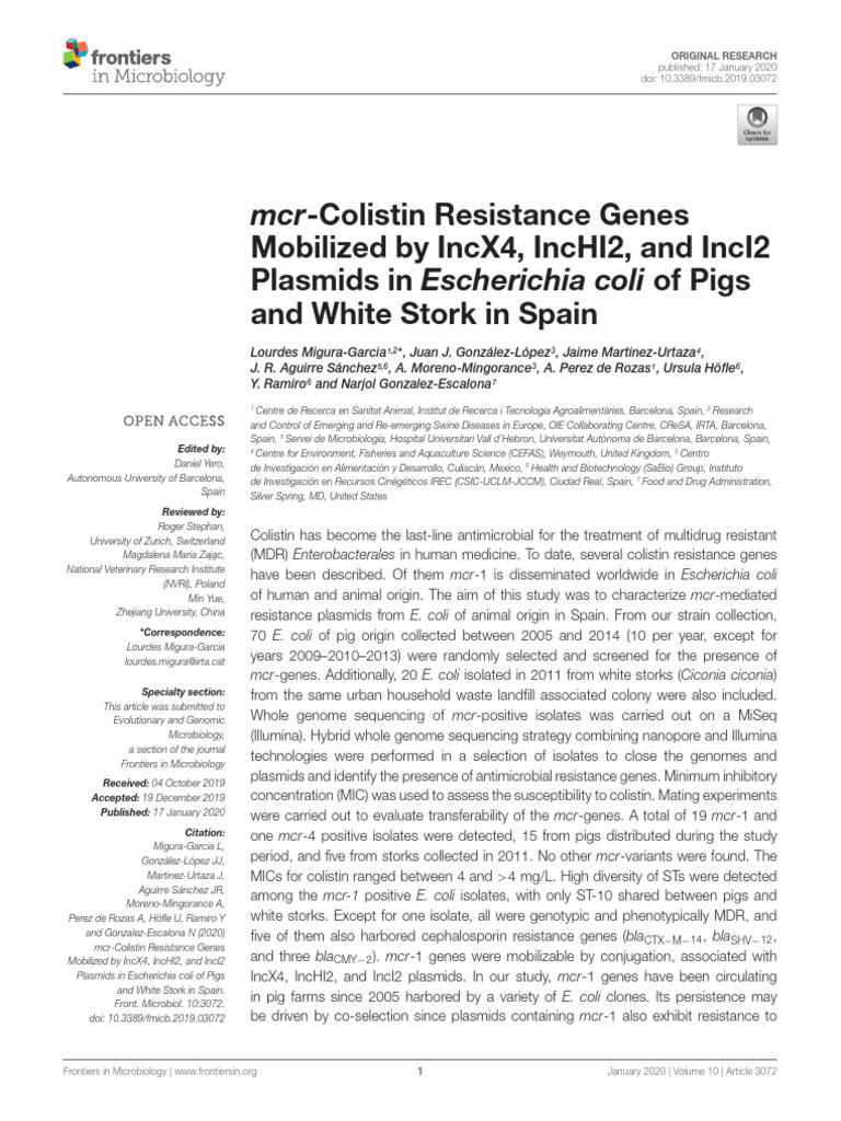 Fmicb-Minion RAM | PDF | Antimicrobial Resistance | Escherichia Coli