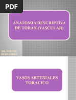 Conducto Torácico: Anatomía y Función | PDF | Tórax | Sistema linfático