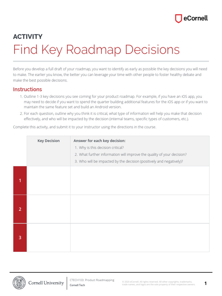 Product Management - Roadmap Decisions Example | PDF