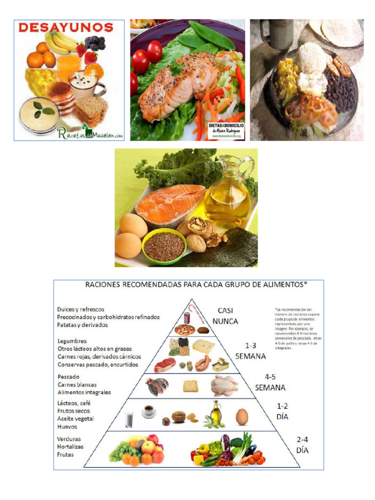 Alimentos Balanceados | PDF