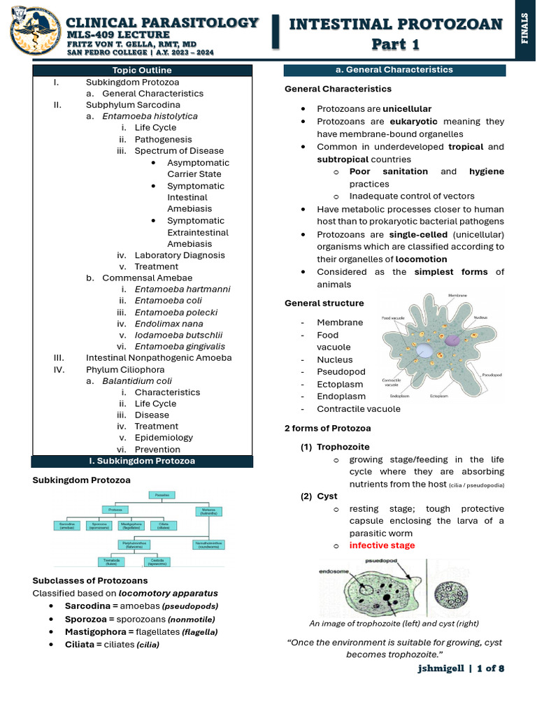 Intestinal Protozoan Part 1 - Jshmigell | PDF | Protozoa | Microbiology