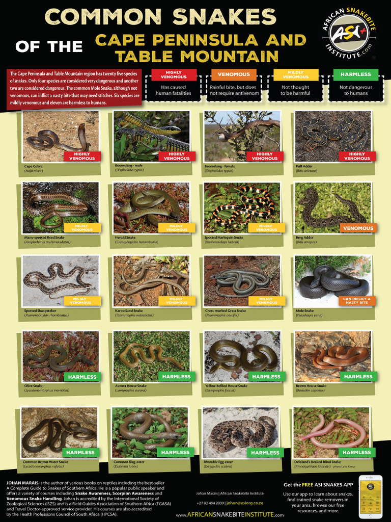 Snakes of Cape Point | PDF