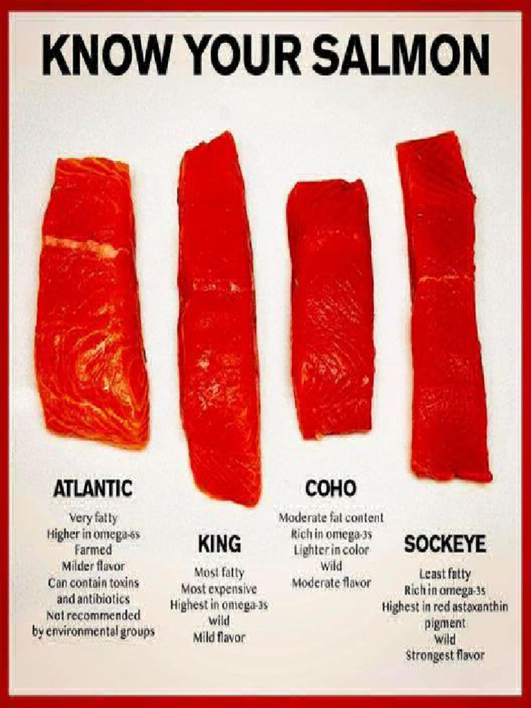 Salmon | PDF