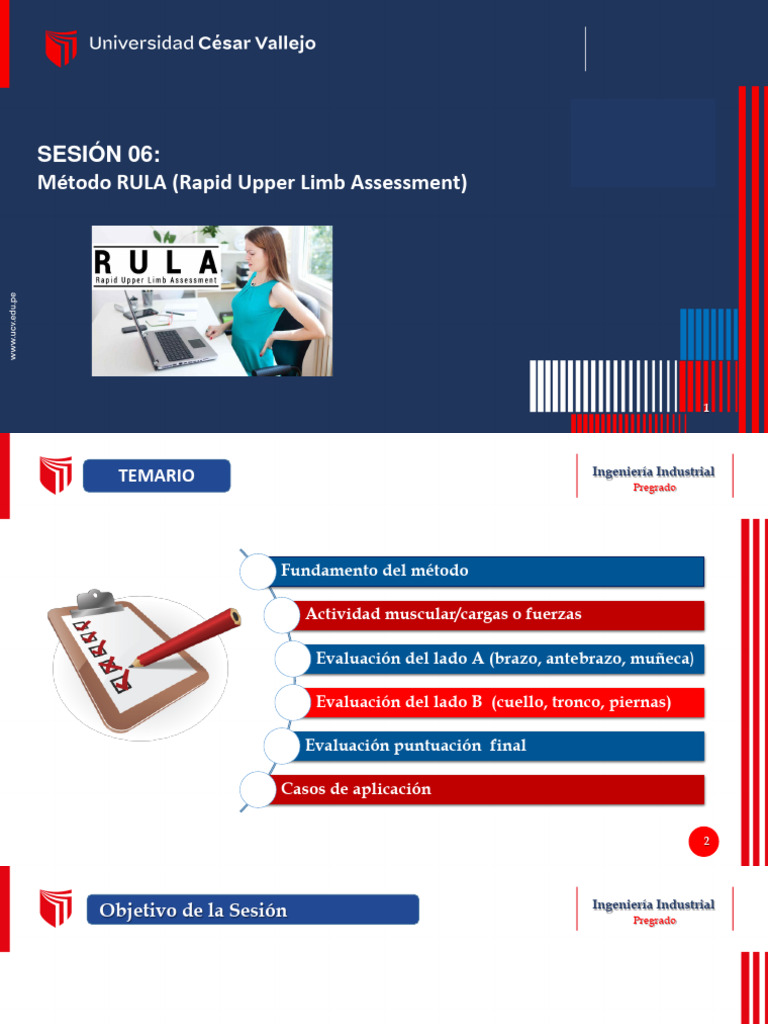 CLASE 06 Método RULA 2024 1 | PDF | Contracción muscular | Músculo
