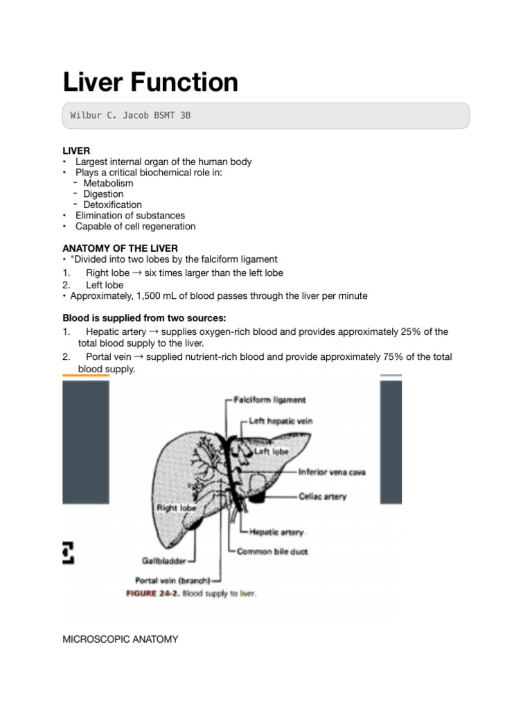Liver Function | PDF | Liver | Diseases And Disorders