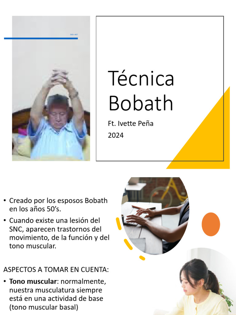 Técnica de Bobath | PDF | Músculo | Contracción muscular