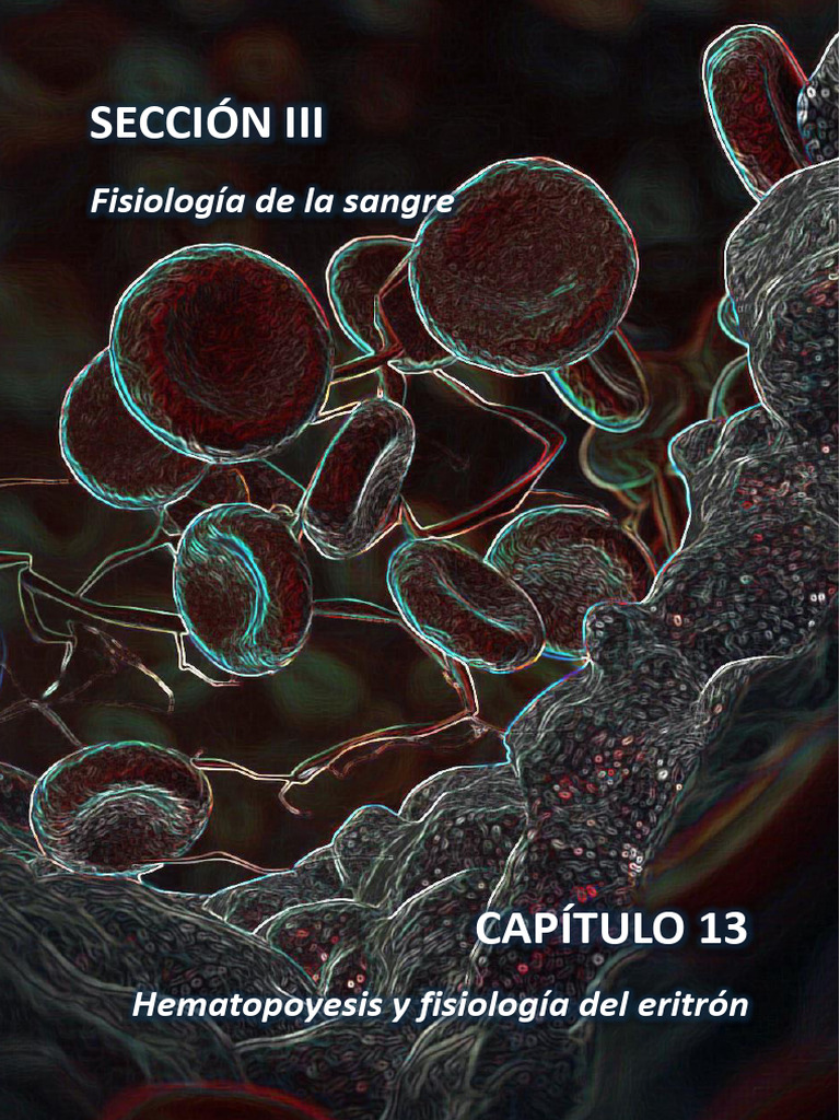 Fisiología Del Eritrón | PDF | Hematopoyesis | Citocina