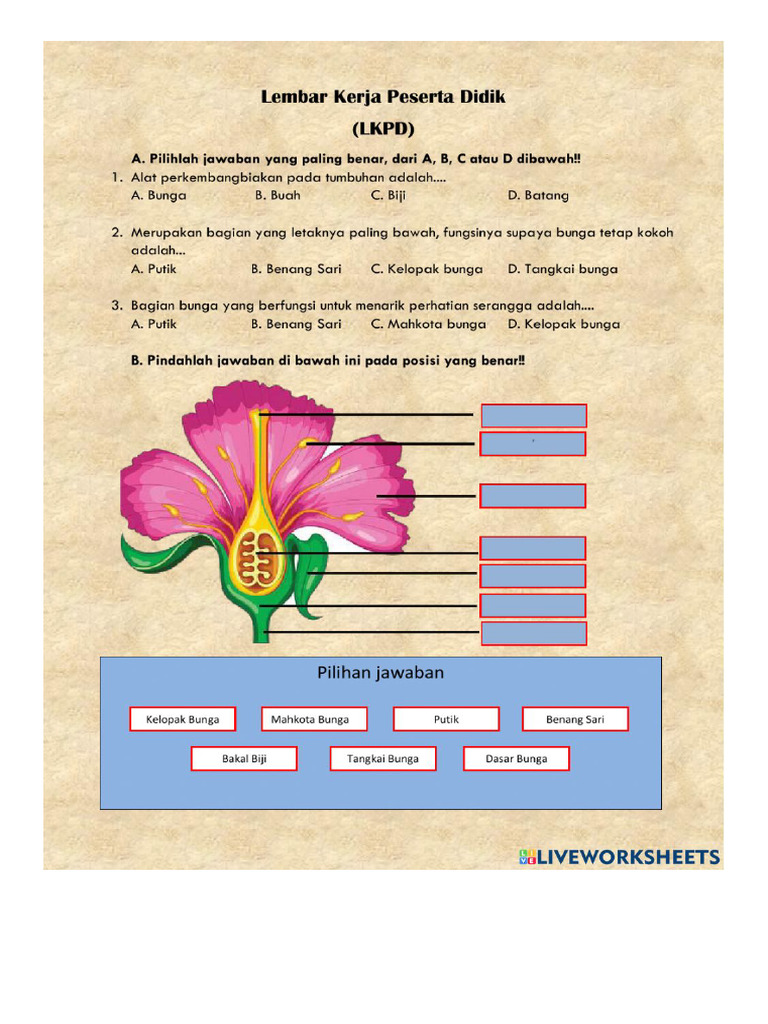 Bagian Bagian Bunga | PDF