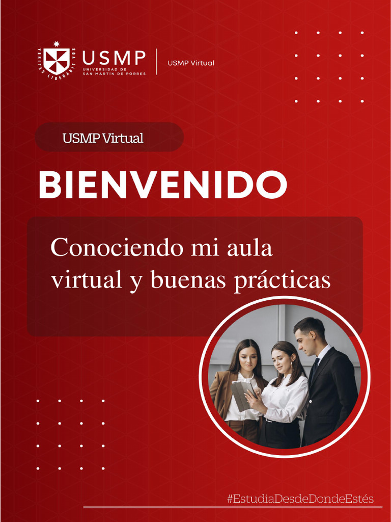 Conociendo Mi Aula Virtual | PDF | Salón de clases | Enseñando