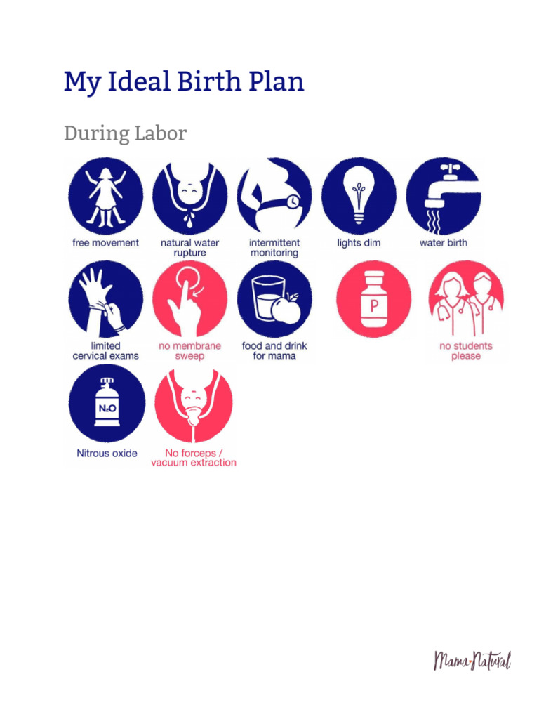 Birth Plan Preferences | PDF | Self-Improvement | Lifestyle