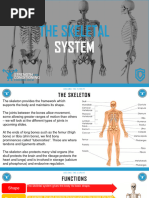 BTEC Sport Level 3 Revision Guide Skeletal System | PDF | Anatomical ...