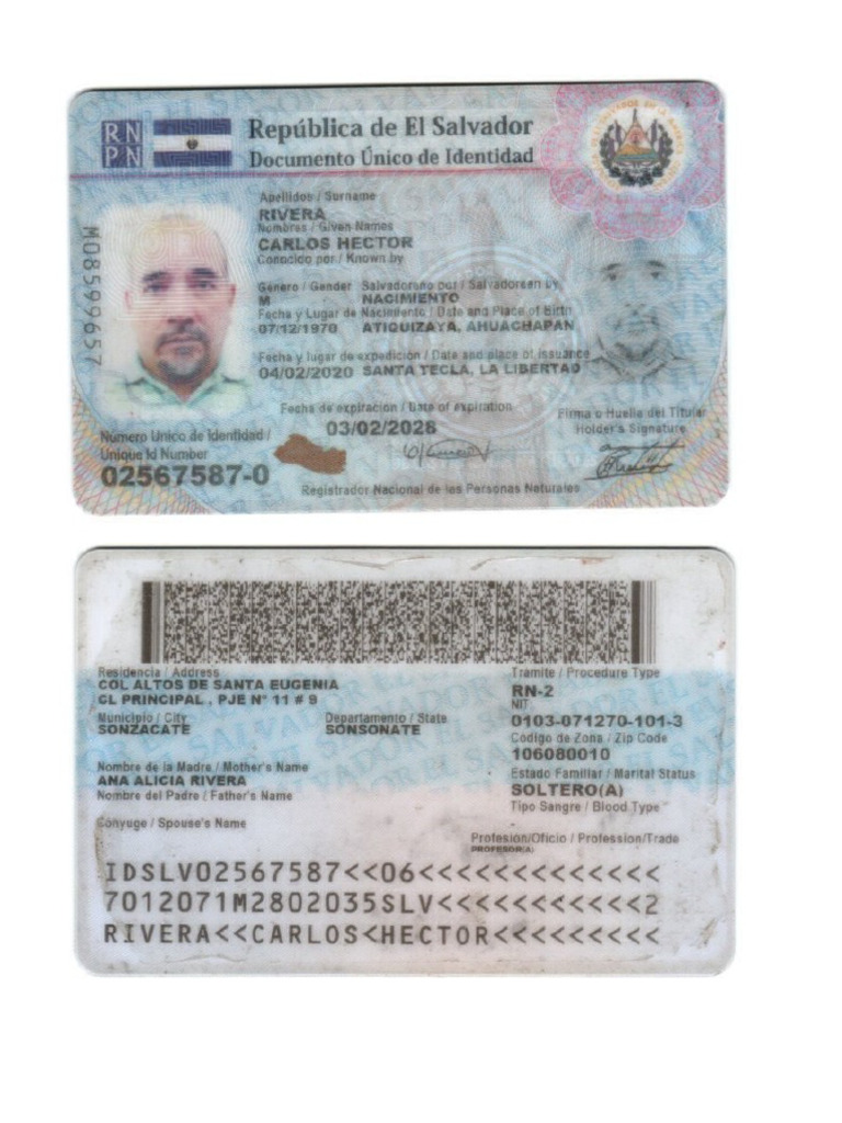 Dui Hector y Simon | PDF