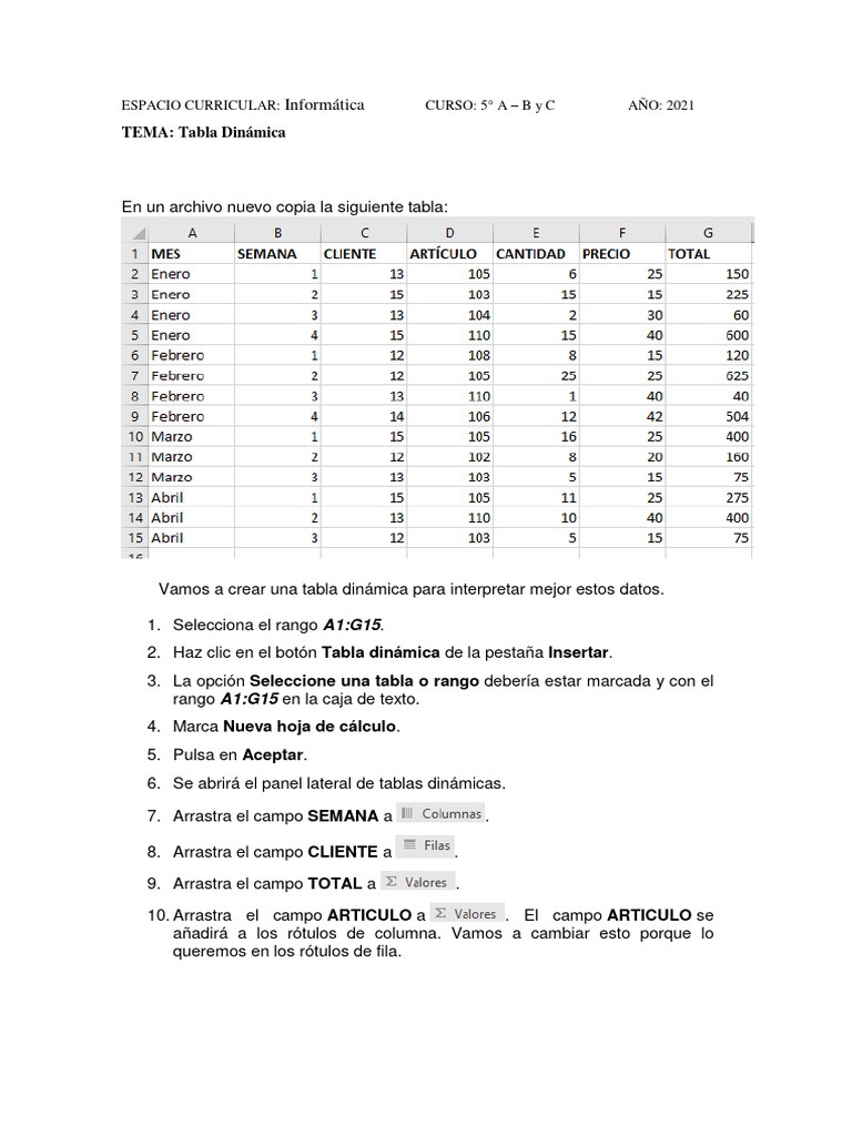 TPN 17 de Excel | PDF