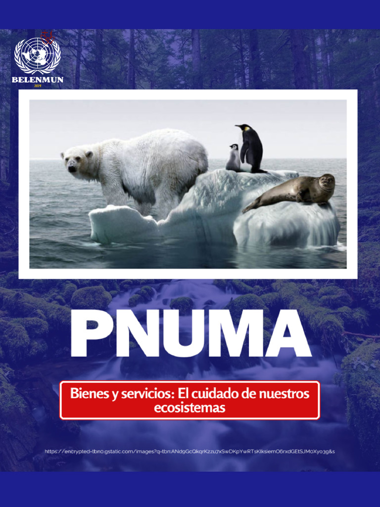 Pnuma SG Belenmun 2024 | PDF | Degradación ambiental | Programa del ...